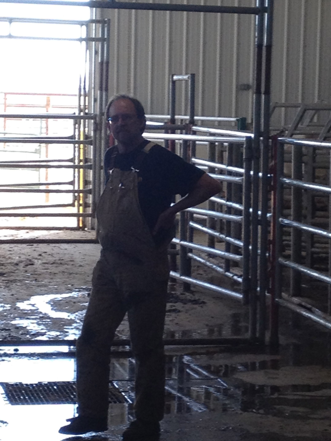 PHOTO 7 | BainTree Angus