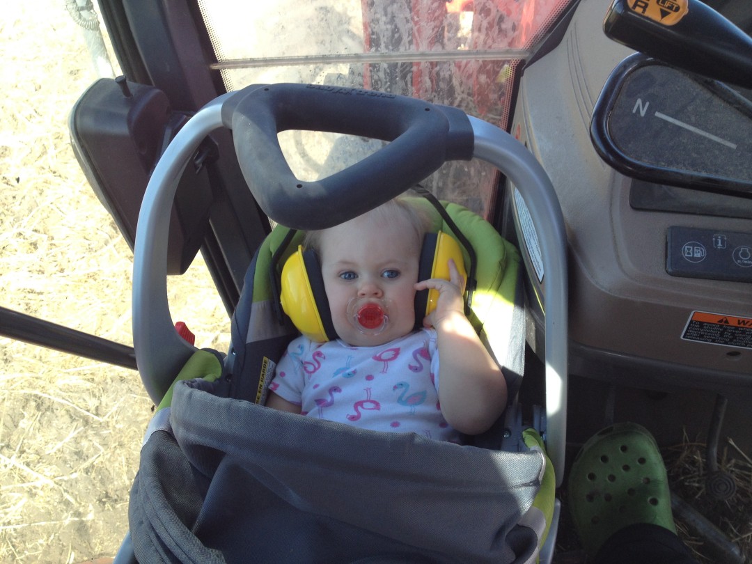 PHOTO 5 | BainTree Angus